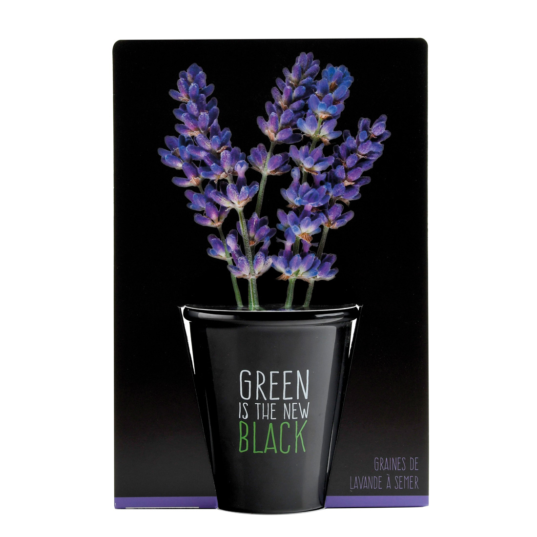 Green is the new black lavanda. Vasetto con semi. | Natura e | Casa e ...