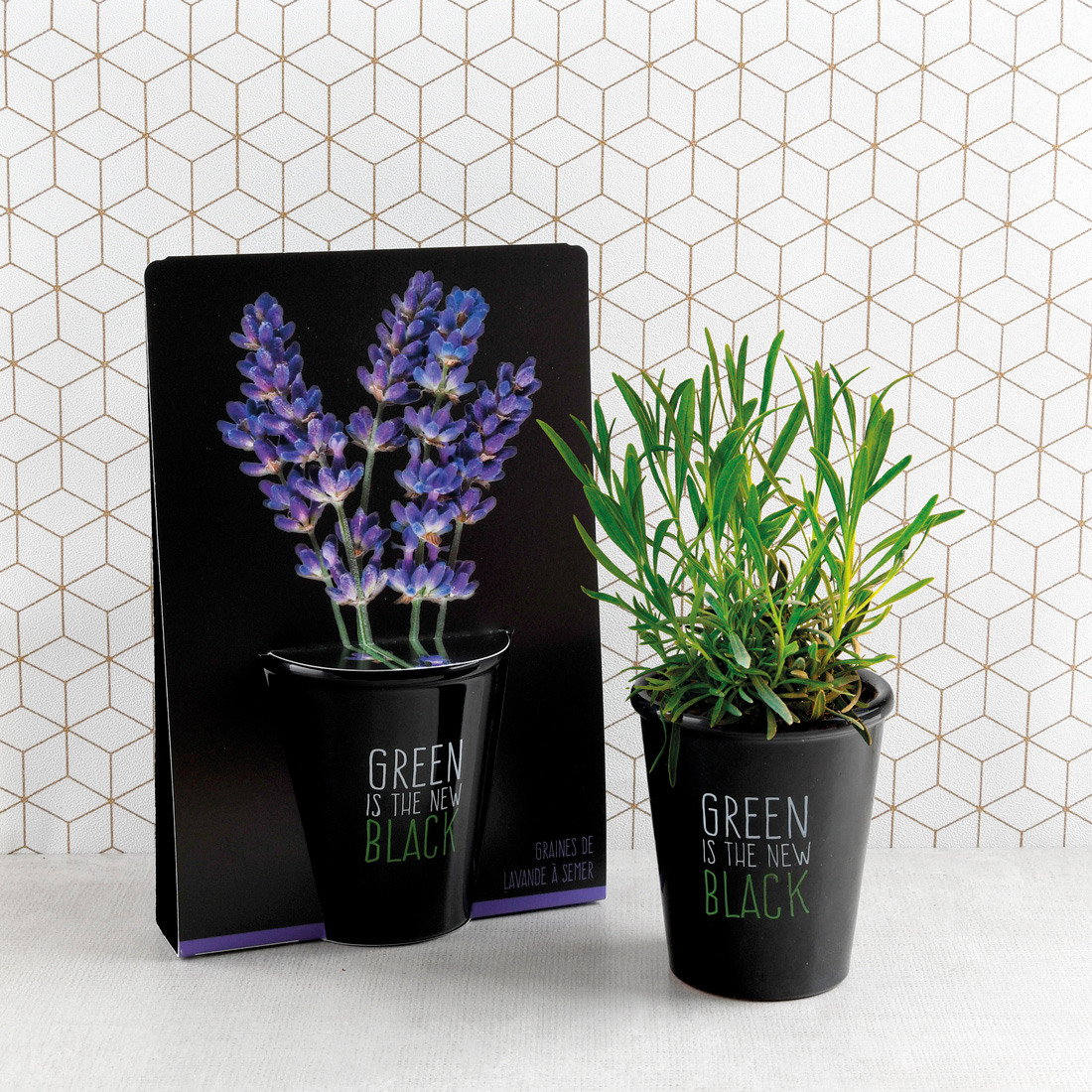 Green is the new black lavanda. Vasetto con semi. | Natura e | Casa e ...